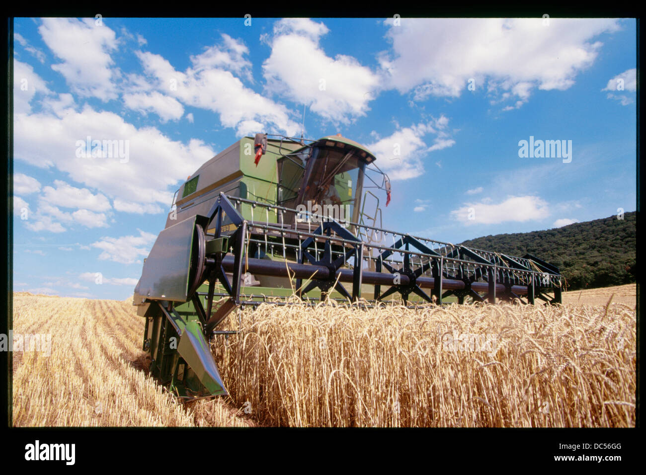 Wheat harvest. Navarre. Spain Stock Photo - Alamy