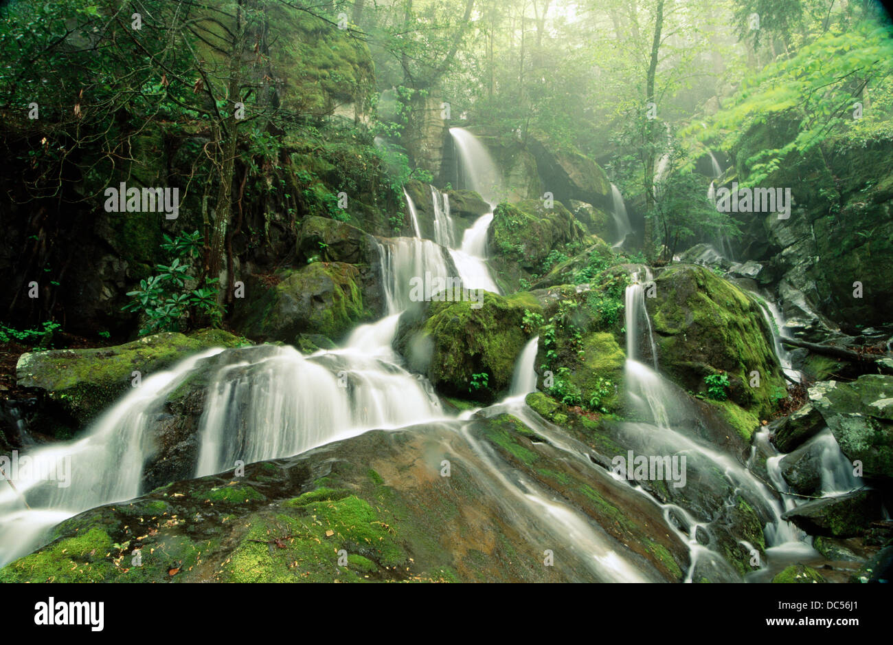 Cliff branch falls hi-res stock photography and images - Alamy