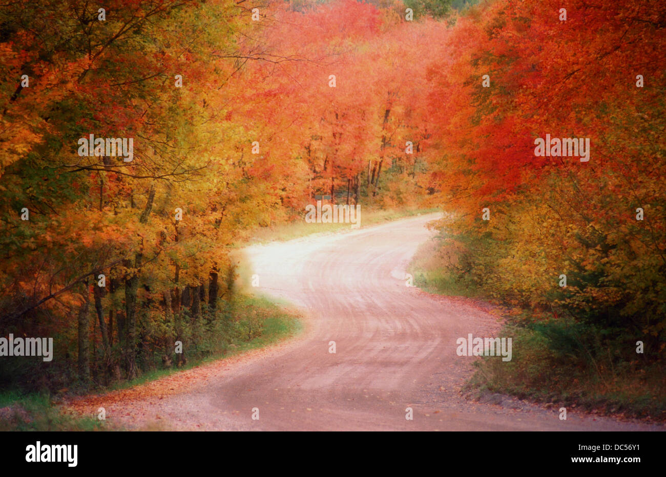 Country road canada hi-res stock photography and images - Alamy