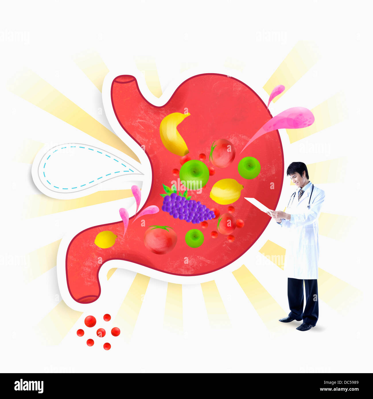 a doctor next to illustration of stomach Stock Photo - Alamy