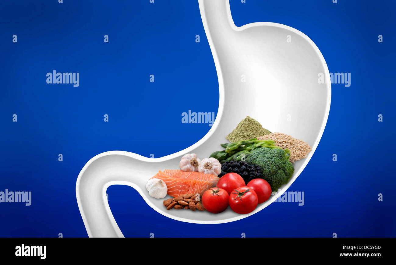 healthy food in the stomach Stock Photo - Alamy