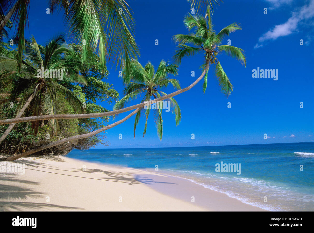 Kadavu island hi-res stock photography and images - Alamy