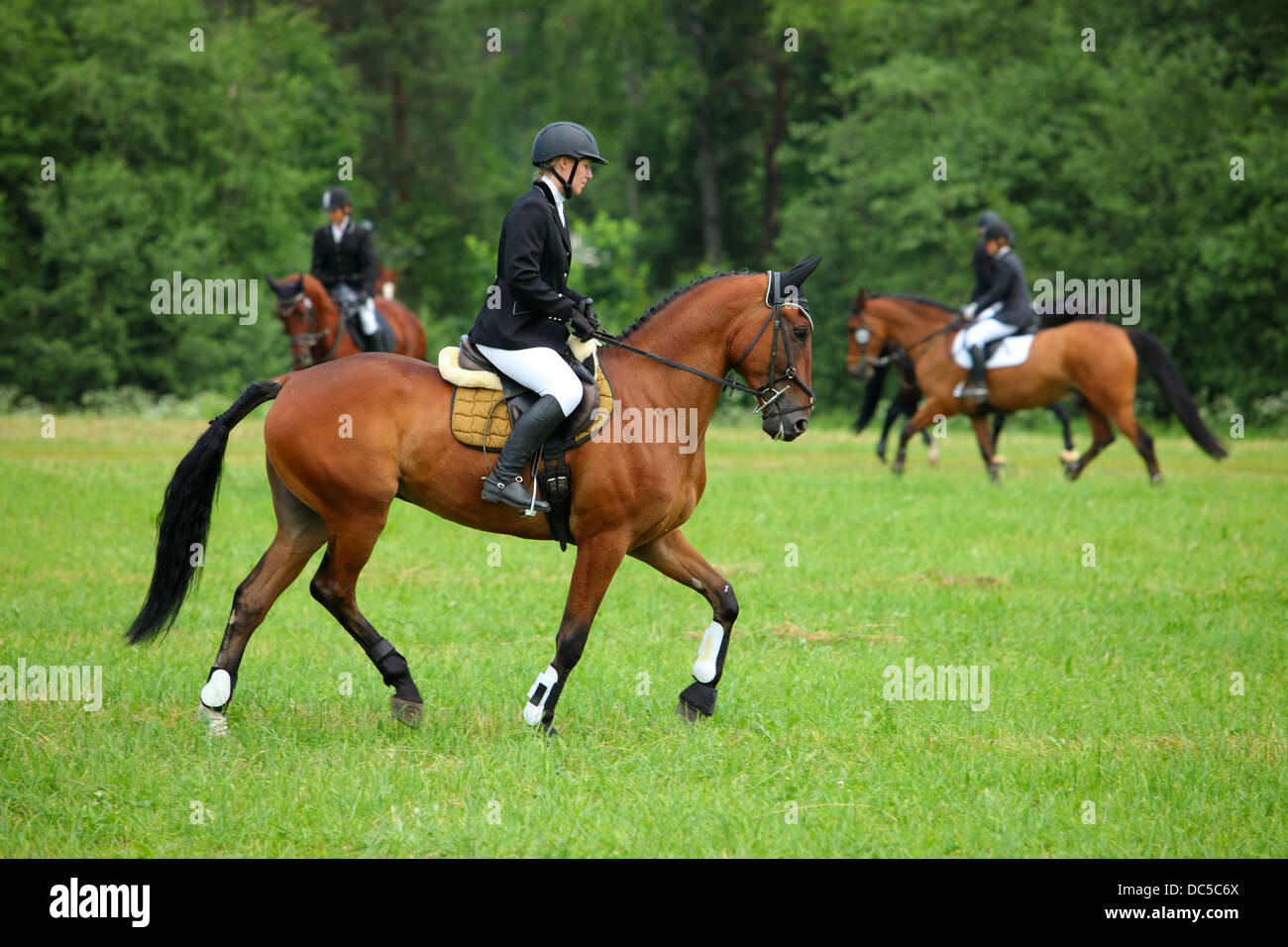 The group of equestrian riders trains the horses Stock Photo - Alamy