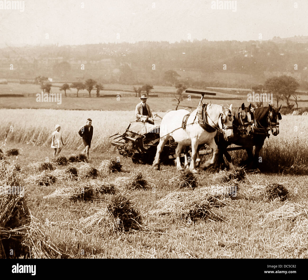 Victorian farm child hi-res stock photography and images - Alamy