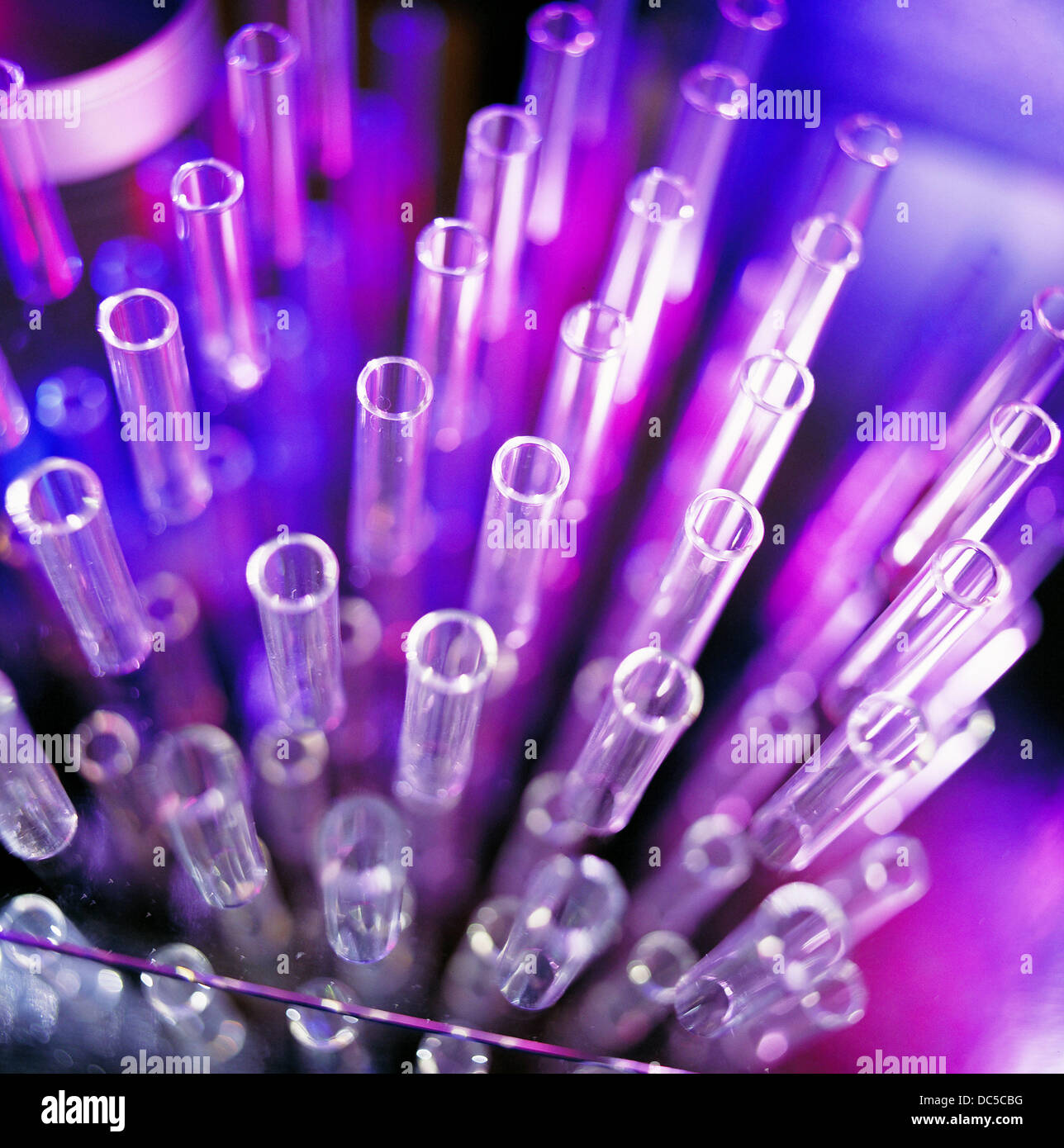 Purple rack of tubes in lab Stock Photo - Alamy