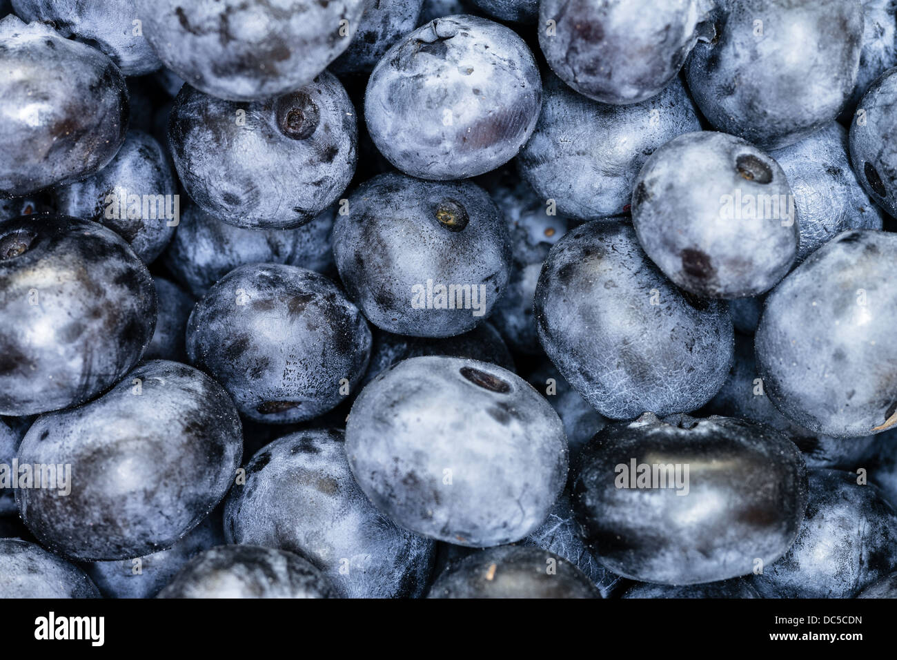 Huckleberry hi-res stock photography and images - Alamy