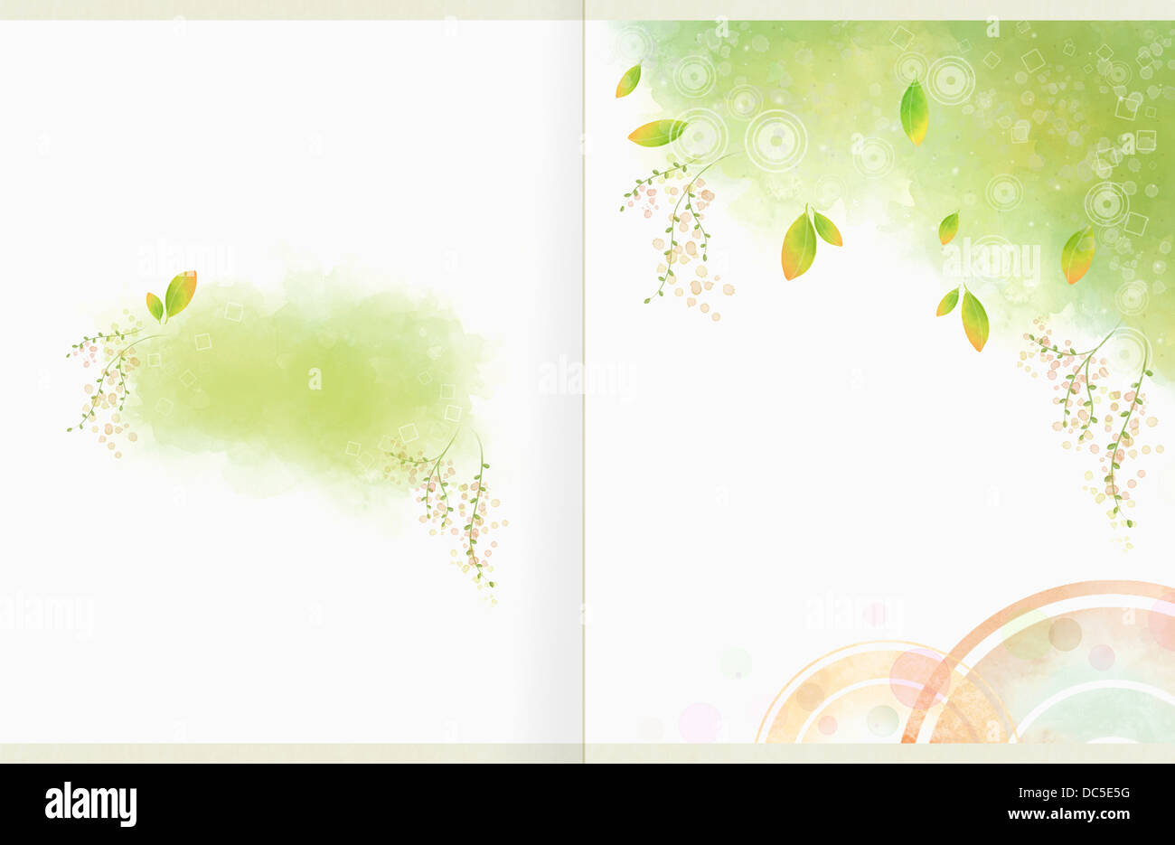 illustration of card template in green Stock Photo - Alamy