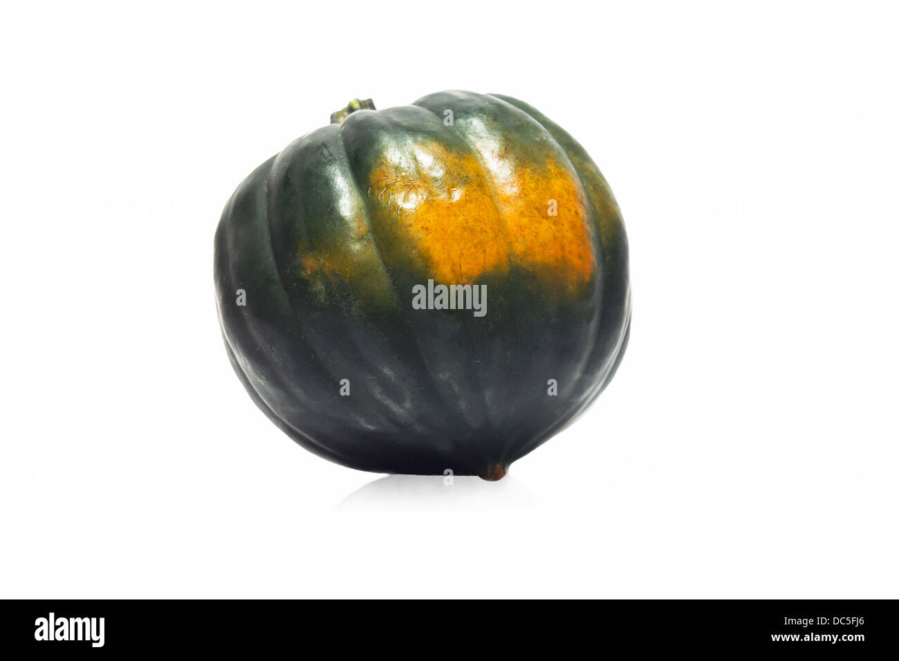 mini pumpkin on a white background Stock Photo - Alamy
