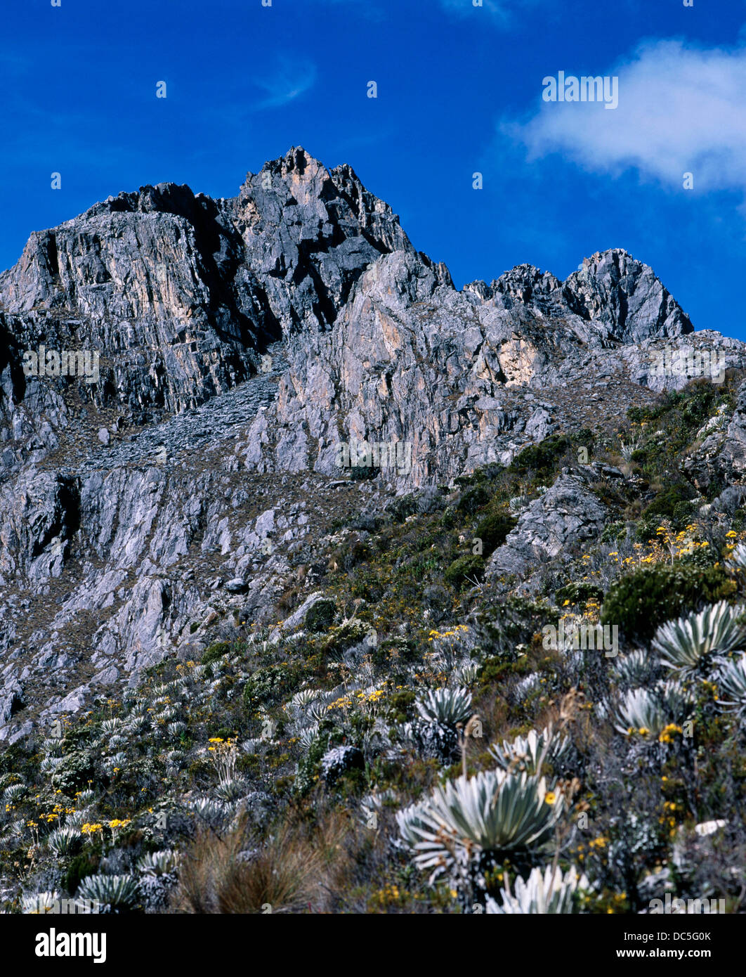 Sierra Nevada National Park Venezuela High Resolution Stock Photography ...