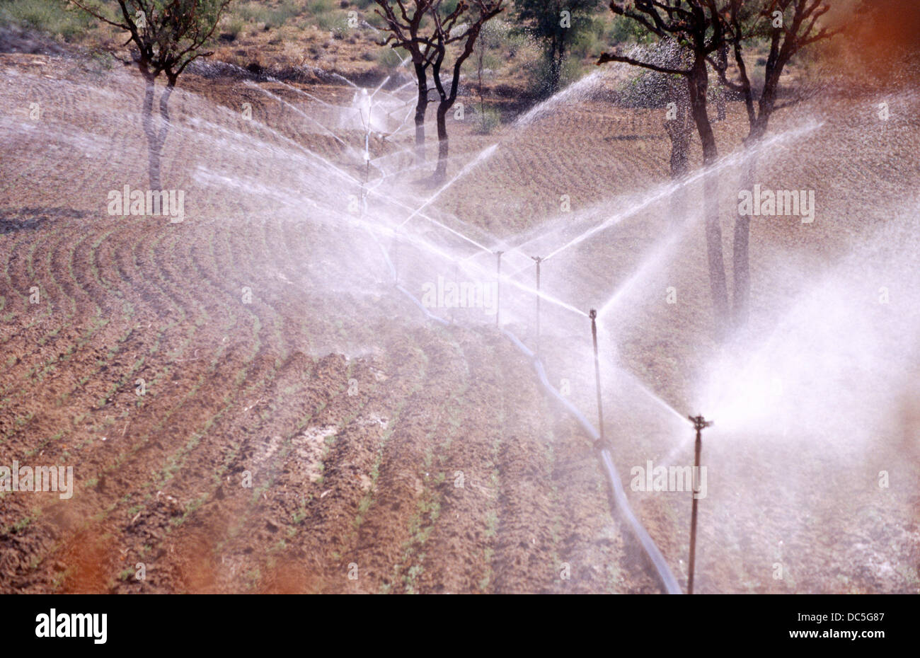 Sprinkler irrigation india hi-res stock photography and images - Alamy