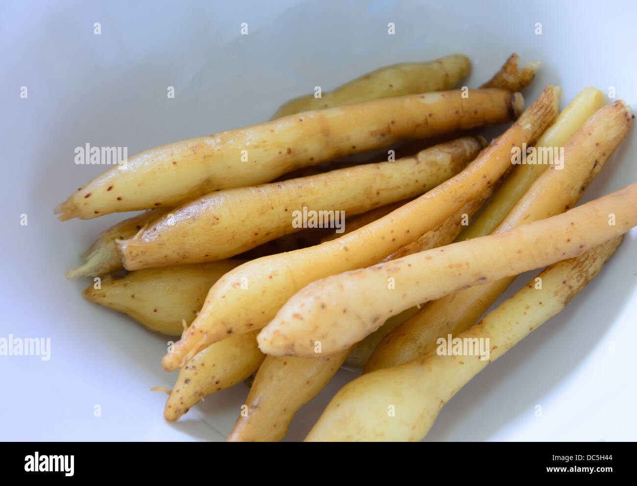 many fingerroot in the dish Stock Photo - Alamy