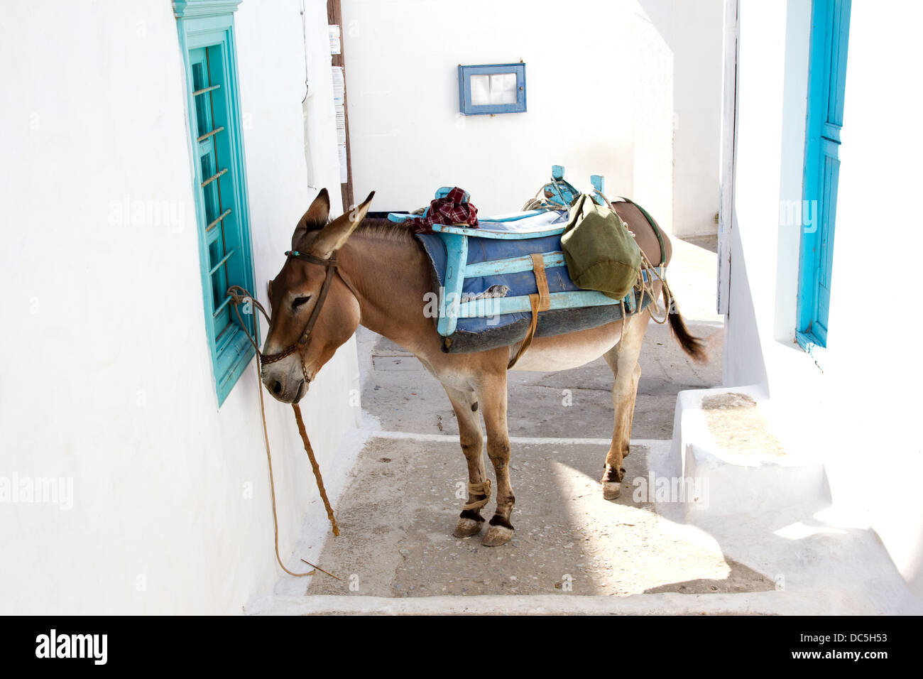Working Mule in a Greek village Stock Photo - Alamy
