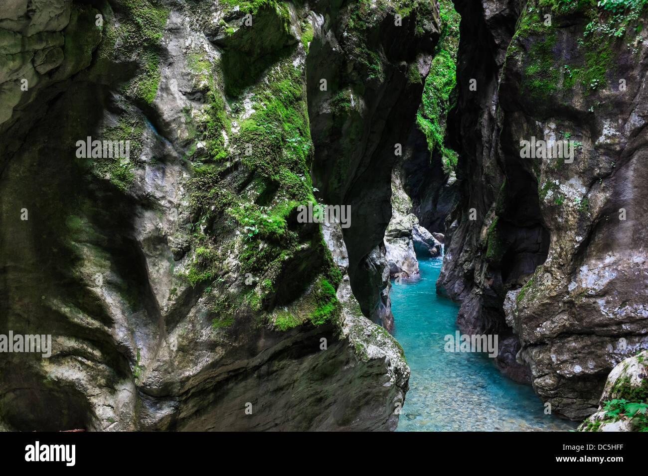 Tolminka river, Tolmin Gorges, Primorska, Slovenia Stock Photo - Alamy