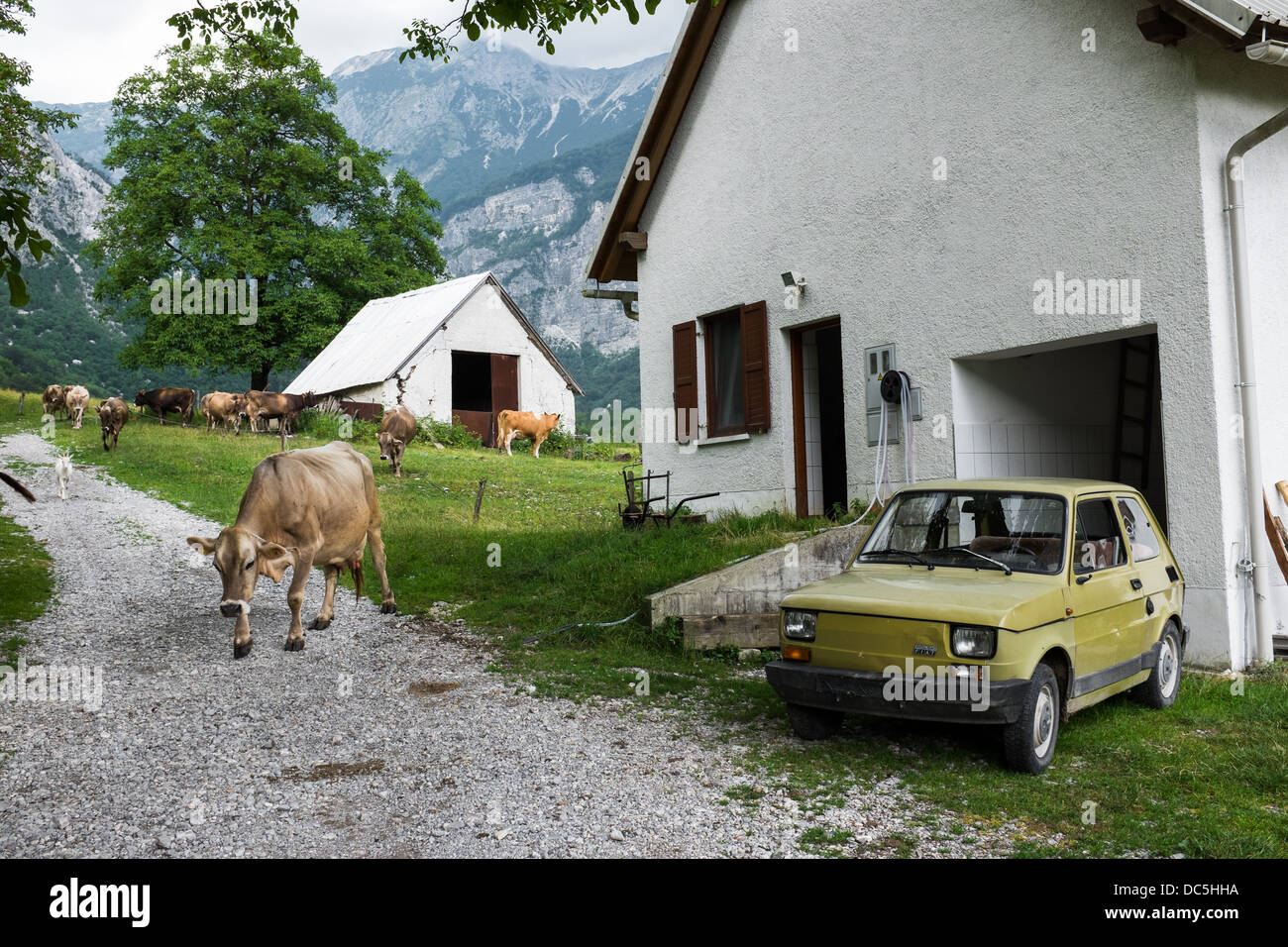 Agricultural farm hi-res stock photography and images - Alamy