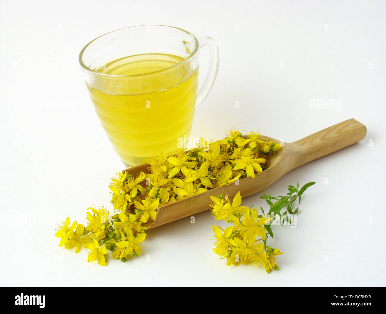 Perforatum hi-res stock photography and images - Alamy