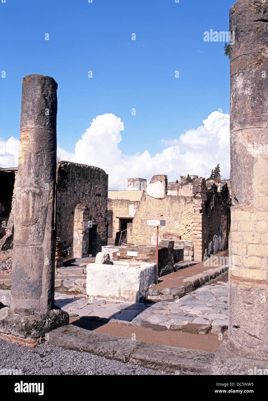 Pillars with drinking trough to rear, Roman City, Herculaneum, Near ...