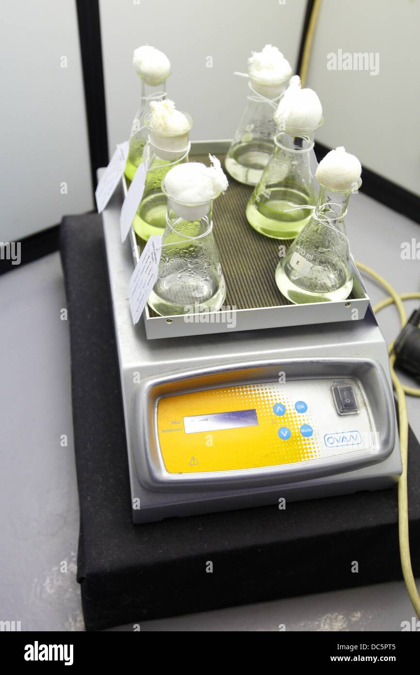 Ecotoxicity biocide test laboratory technology hi-res stock photography ...