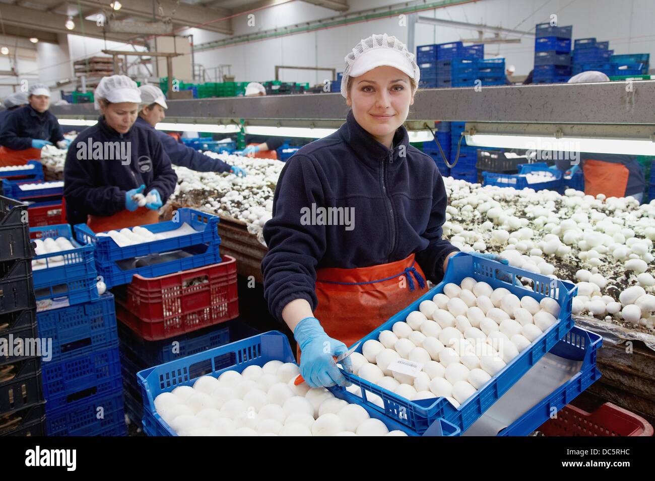 Cap musroom hi-res stock photography and images - Alamy