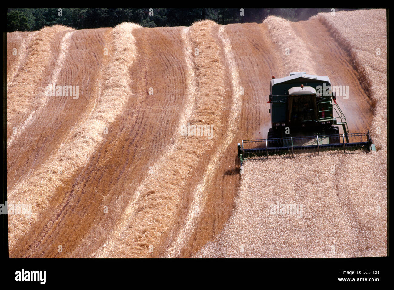 Wheat harvest. Navarre. Spain Stock Photo - Alamy