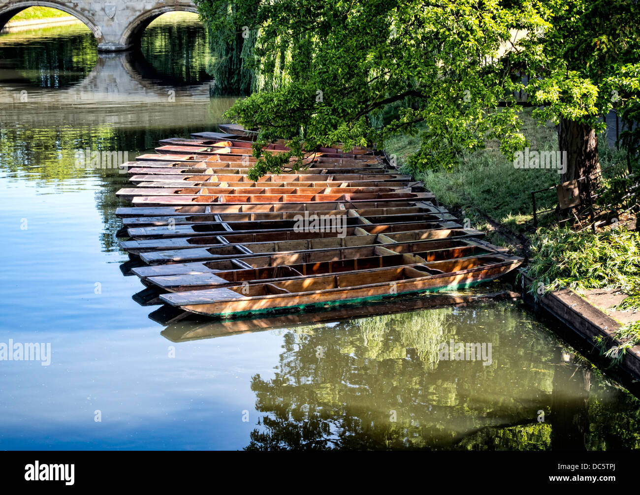 Punts lined up on river in Cambridge, England Stock Photo - Alamy