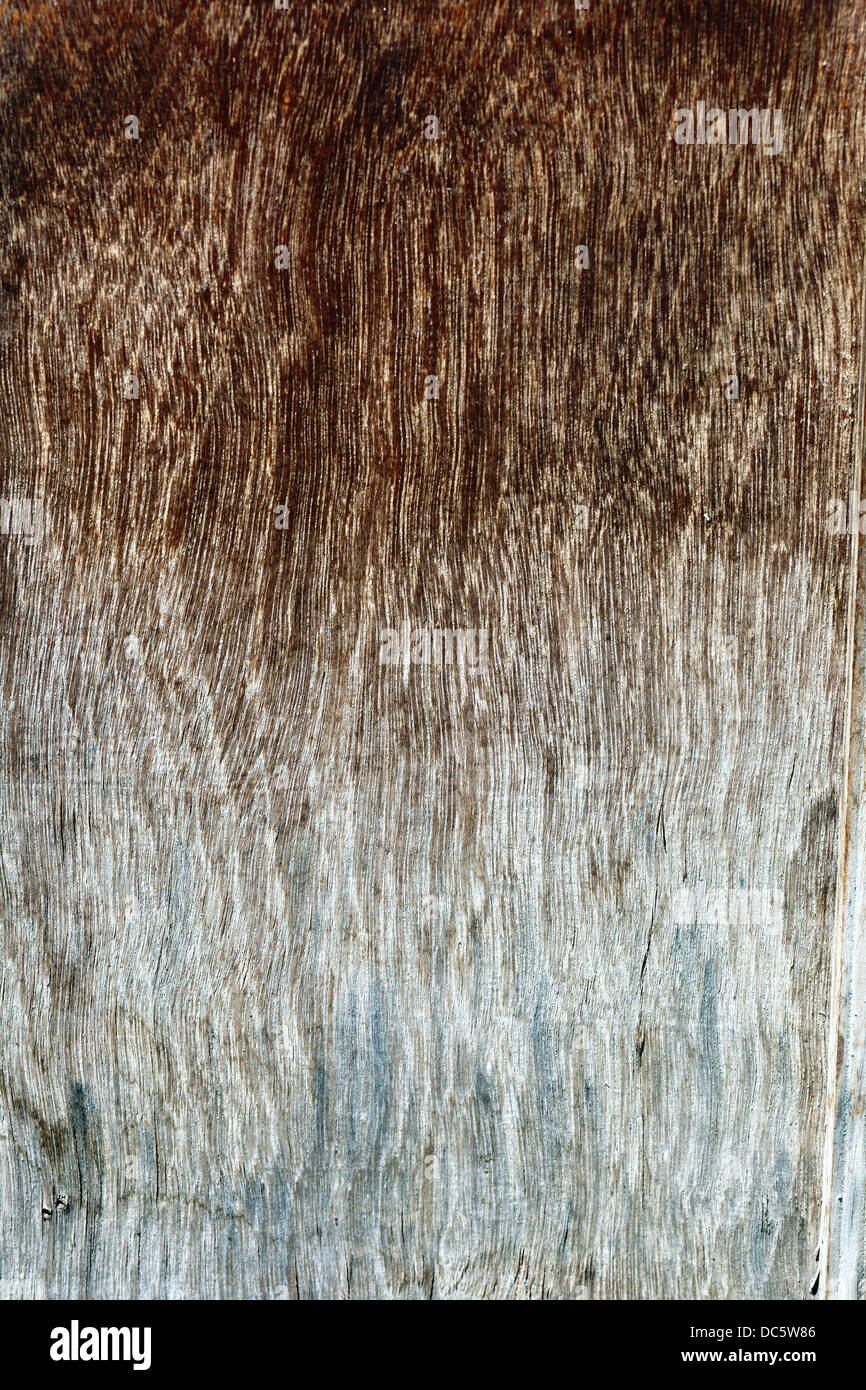 Texture of old wooden wall Stock Photo - Alamy