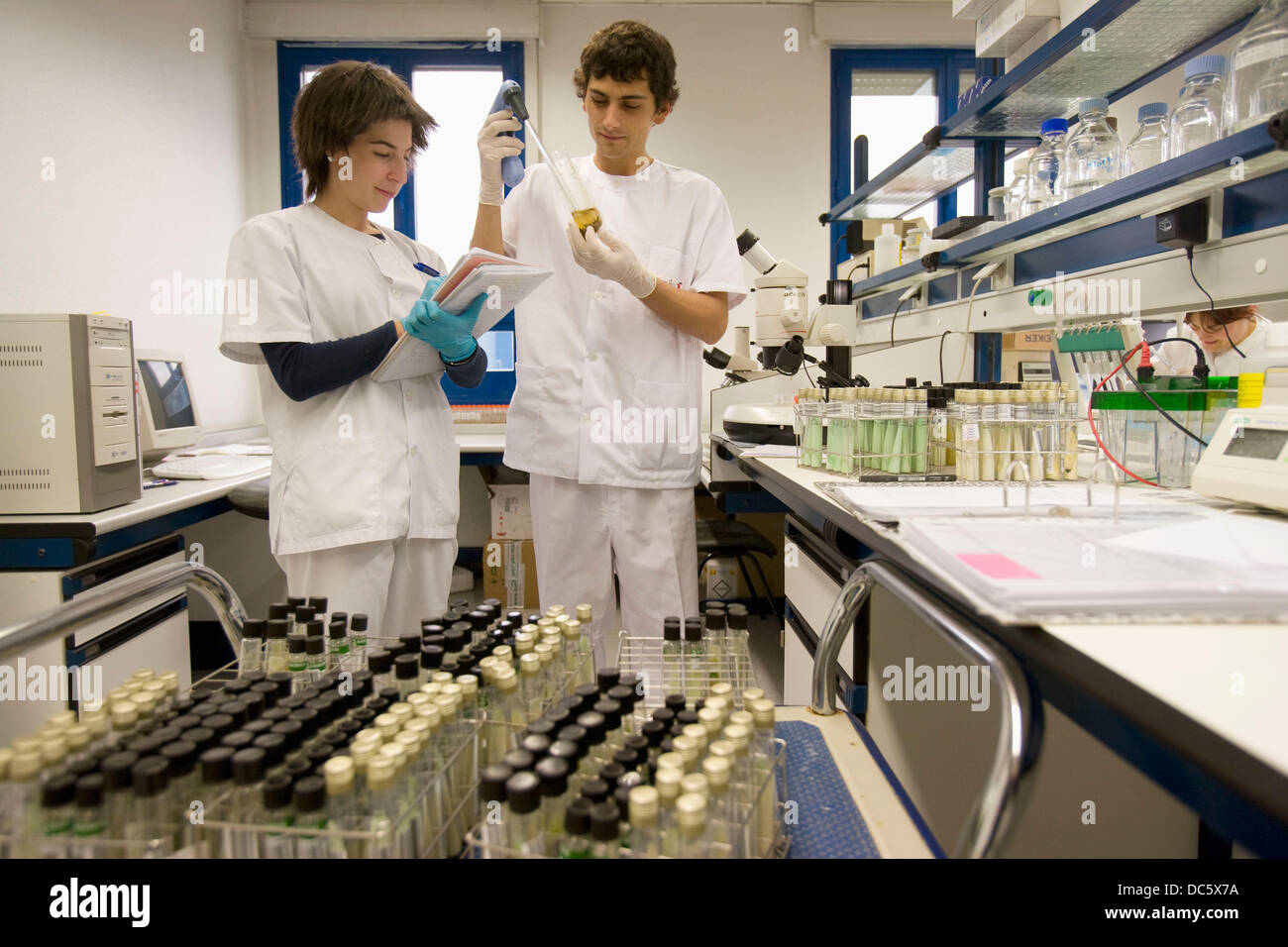 Homogenized hi-res stock photography and images - Alamy