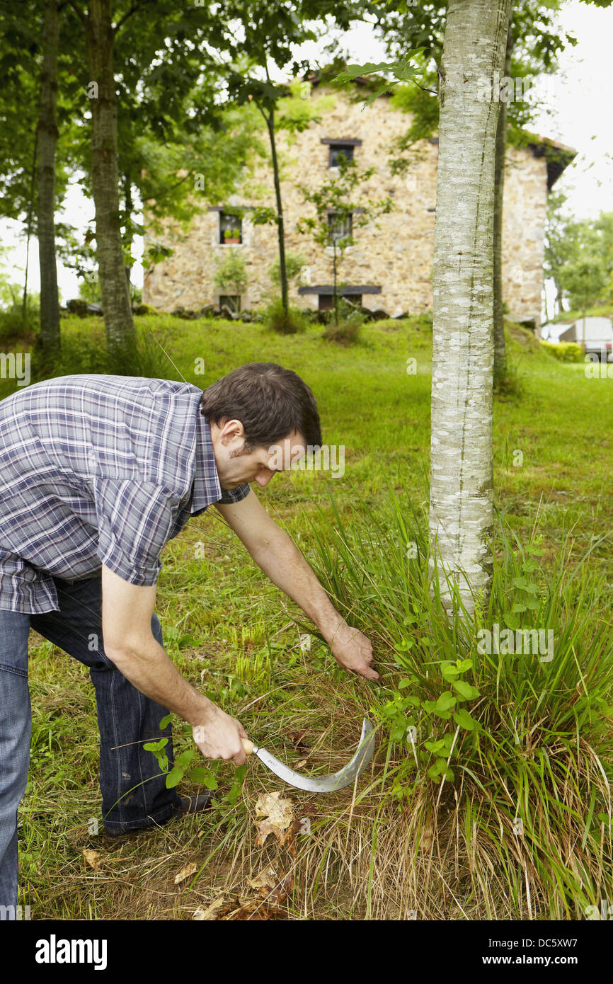 Farmer using sickle hi-res stock photography and images - Alamy