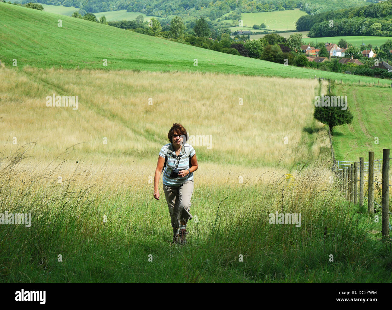 Lady Rambler on an English Rural Trail through a field Stock Photo - Alamy
