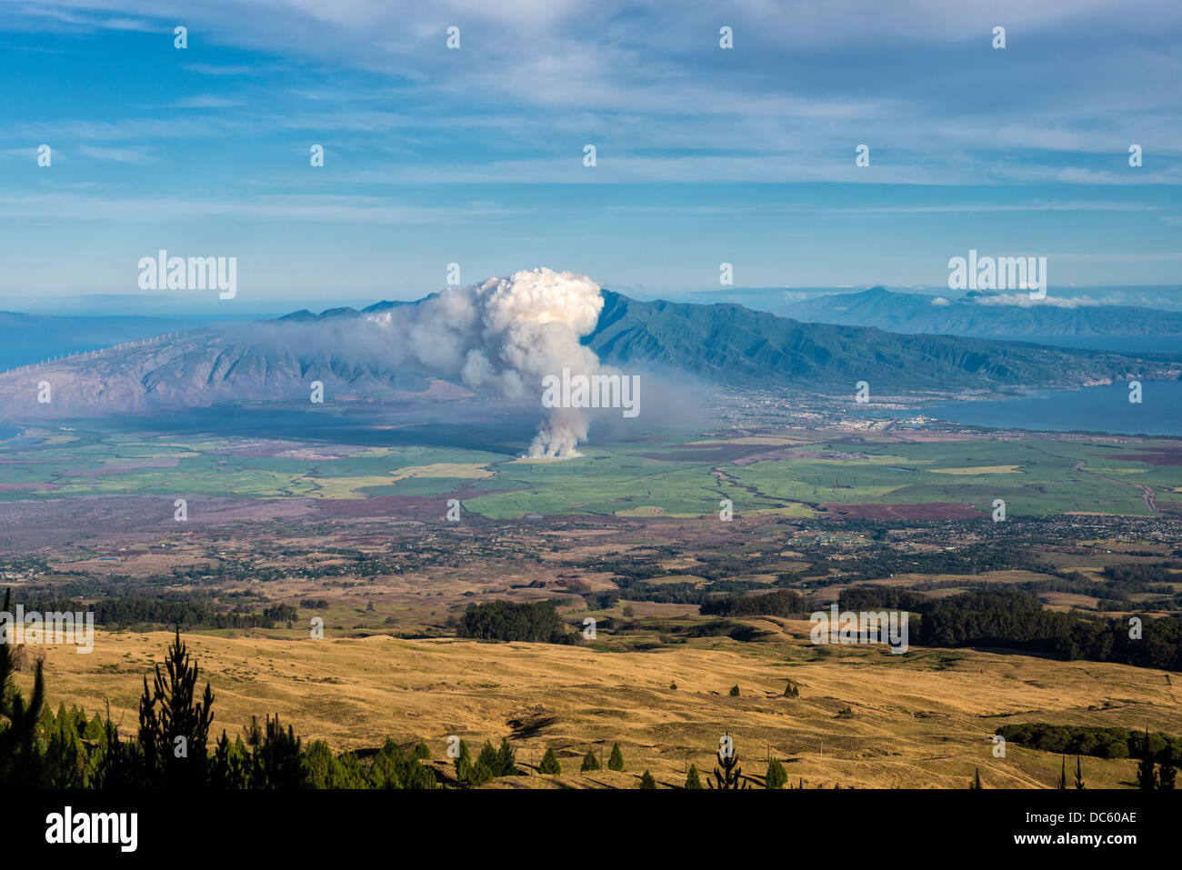 Cane Fields Burning High Resolution Stock Photography and Images - Alamy