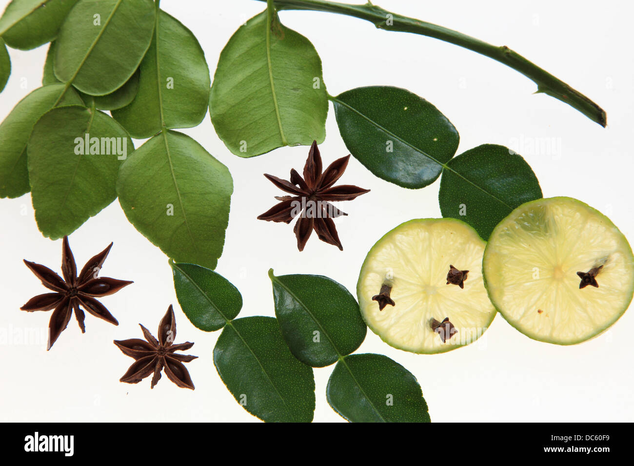 Lime, lime leaves, star anise, clove Stock Photo - Alamy