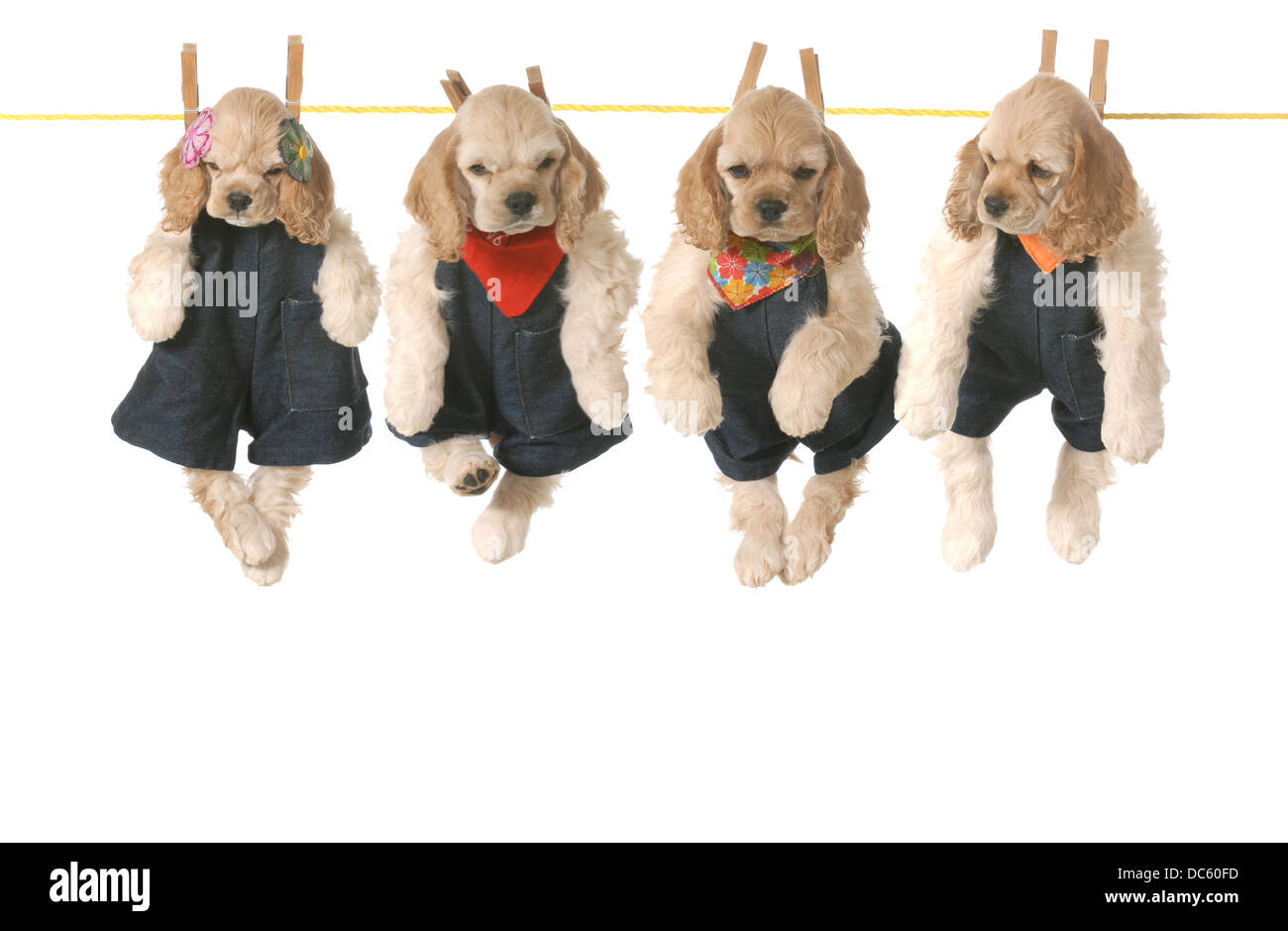 American scrapbook Cut Out Stock Images & Pictures - Alamy