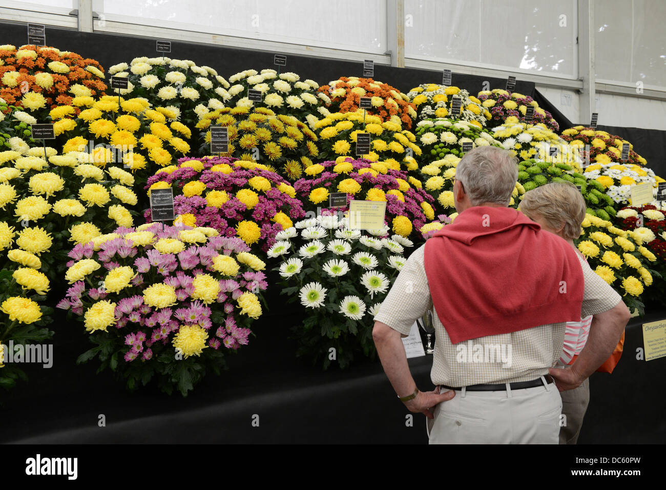 Shrewsbury flower show august hi-res stock photography and images - Alamy