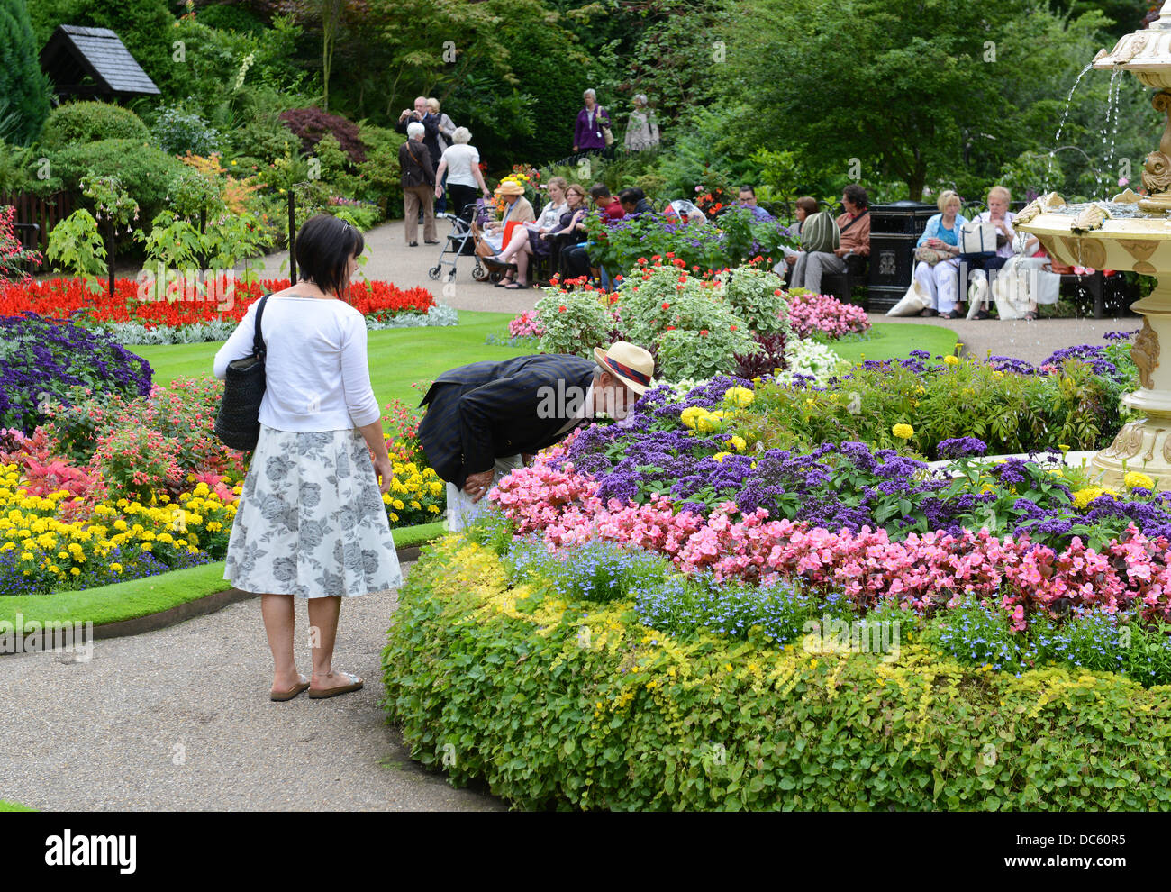 Shrewsbury flower show august hi-res stock photography and images - Alamy
