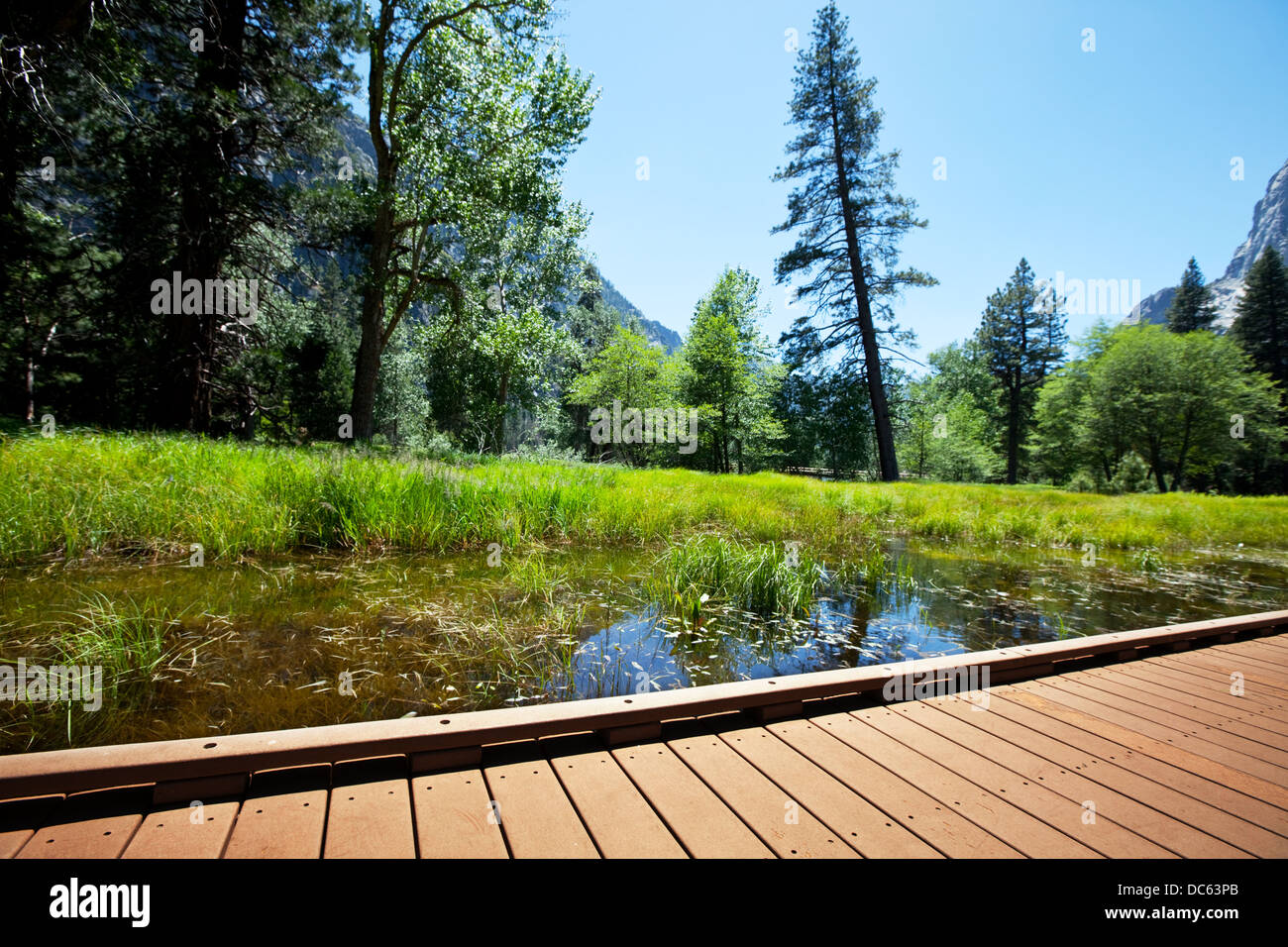Spring in Yosemite Stock Photo - Alamy