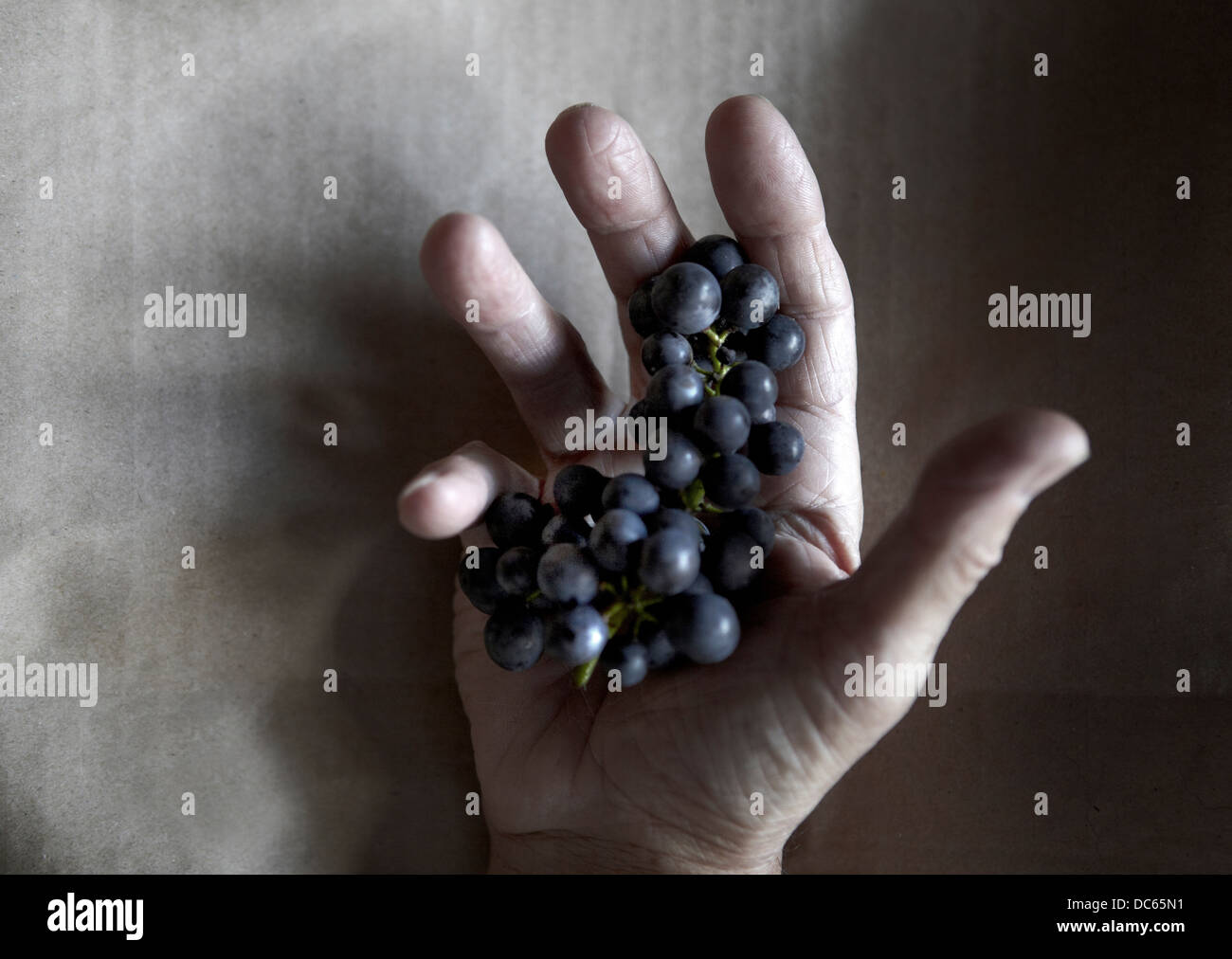 HAND WITH GRAPES Stock Photo - Alamy