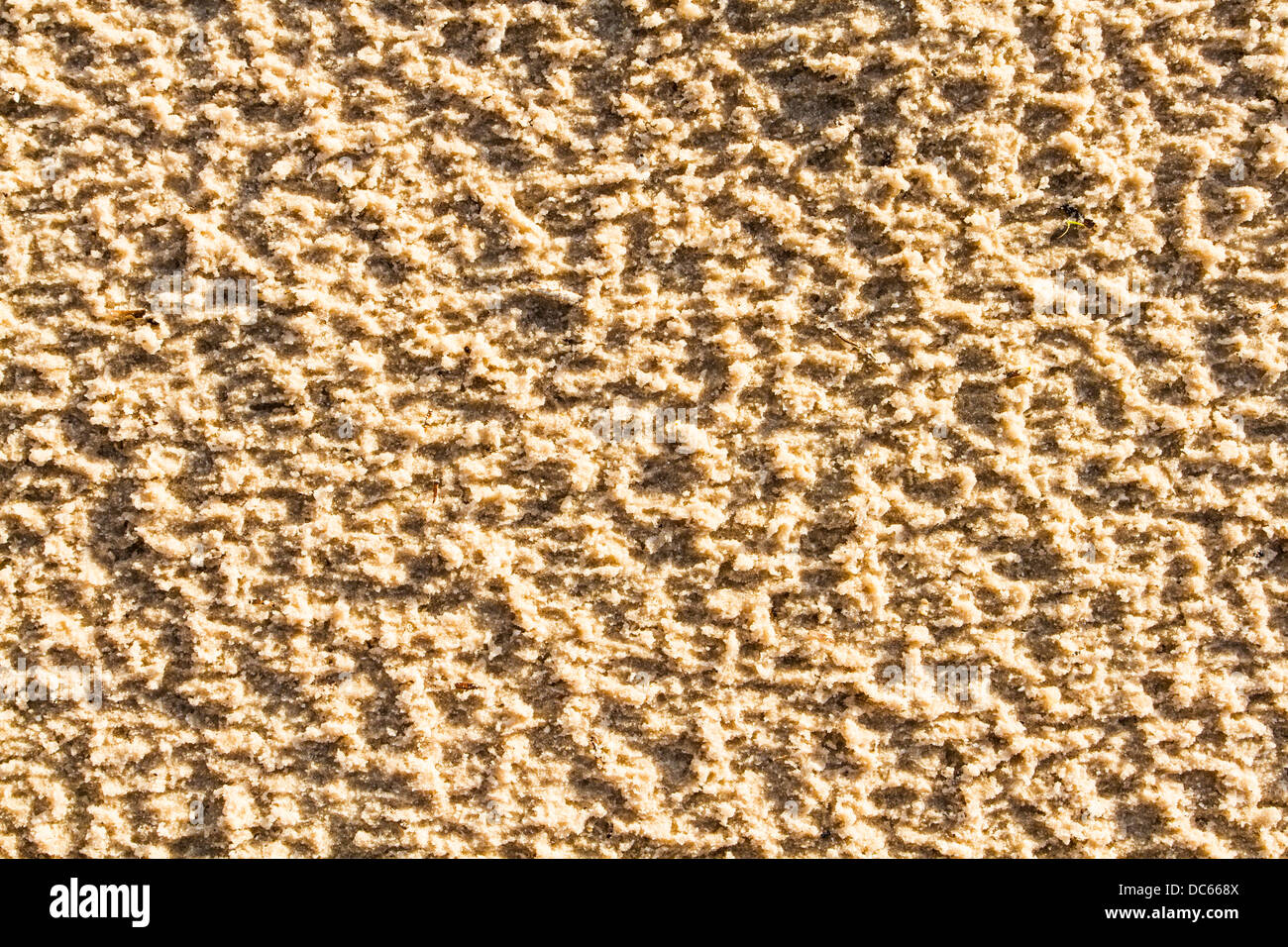 Detail of a sandy ground Stock Photo - Alamy