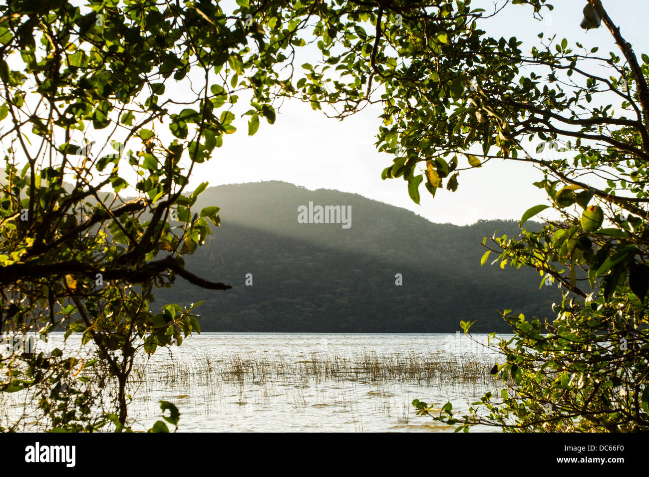 Peri Lagoon. Florianopolis, Santa Catarina, Brazil Stock Photo - Alamy