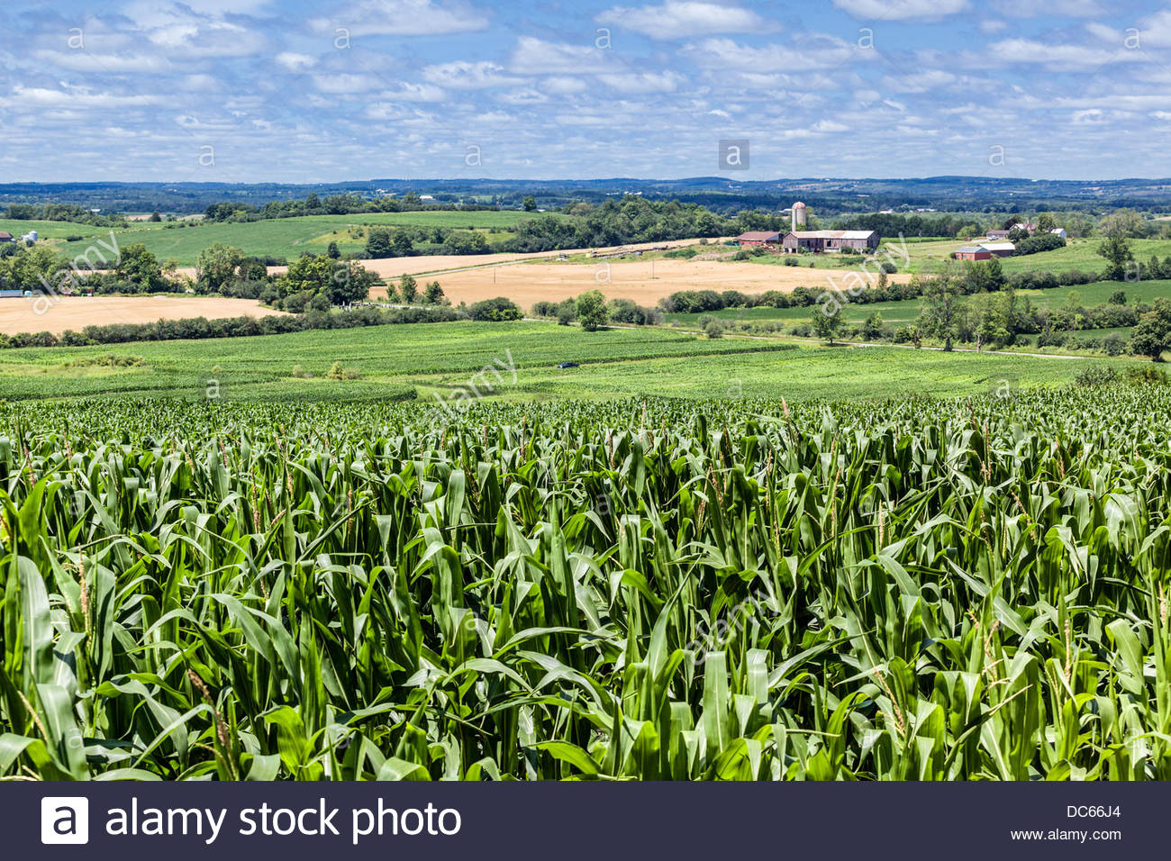 Ontario Canada Landscape House Rural High Resolution Stock Photography ...