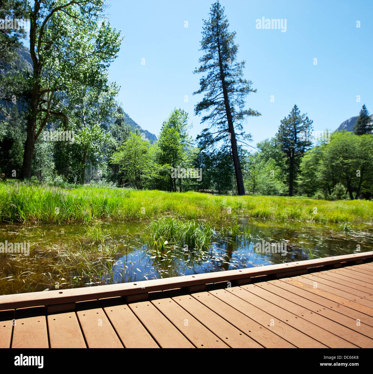 Spring in Yosemite Stock Photo - Alamy