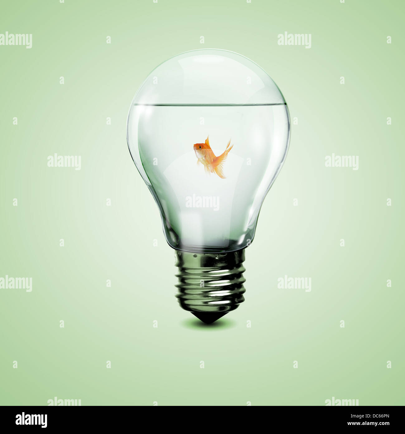 Gold fish inside an electric bulb Stock Photo - Alamy