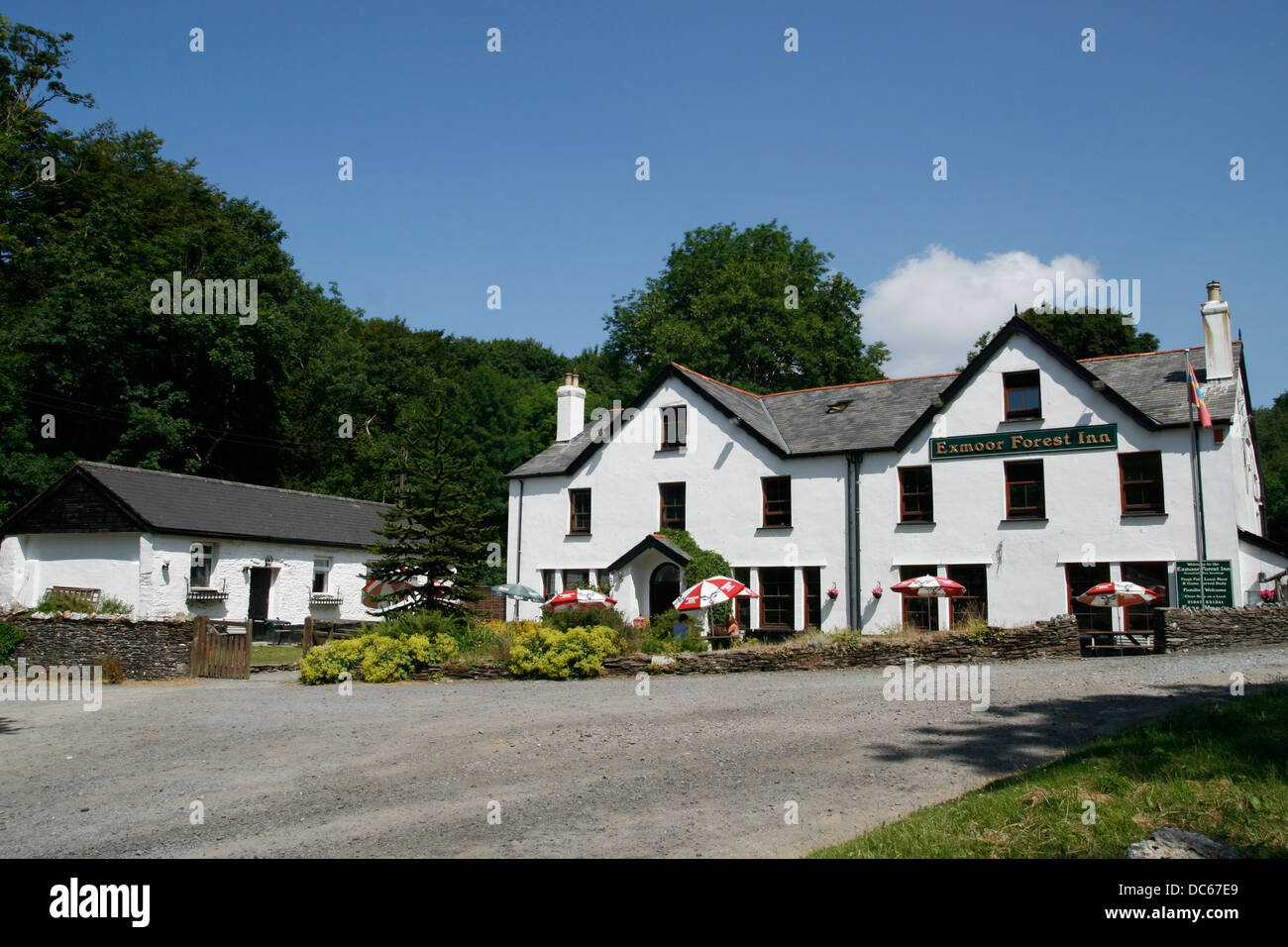 The forest inn hi-res stock photography and images - Alamy