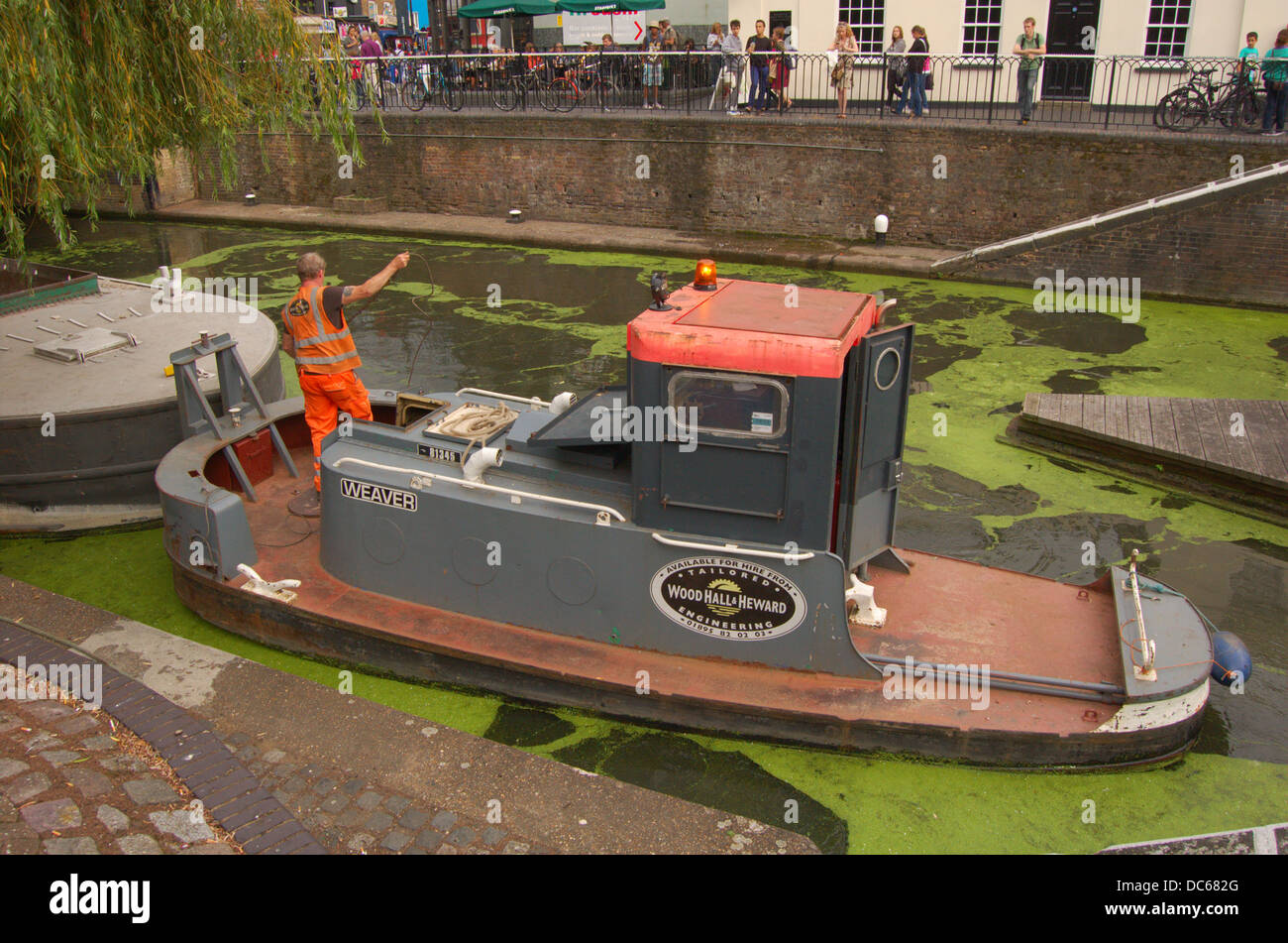 Toxic green algae on the Regents Canal at Camden Lock in London ...