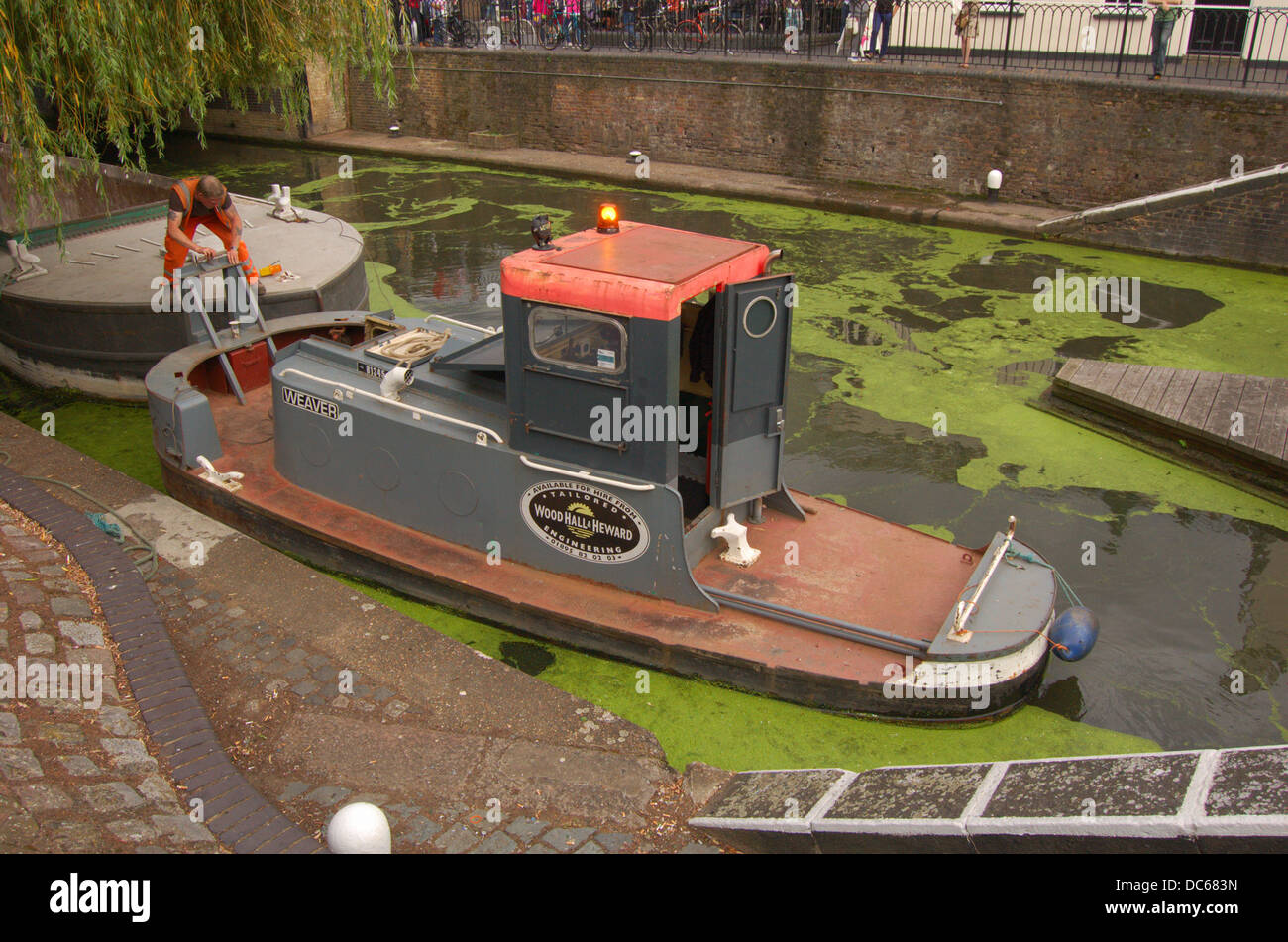 Toxic green algae on the Regents Canal at Camden Lock in London ...