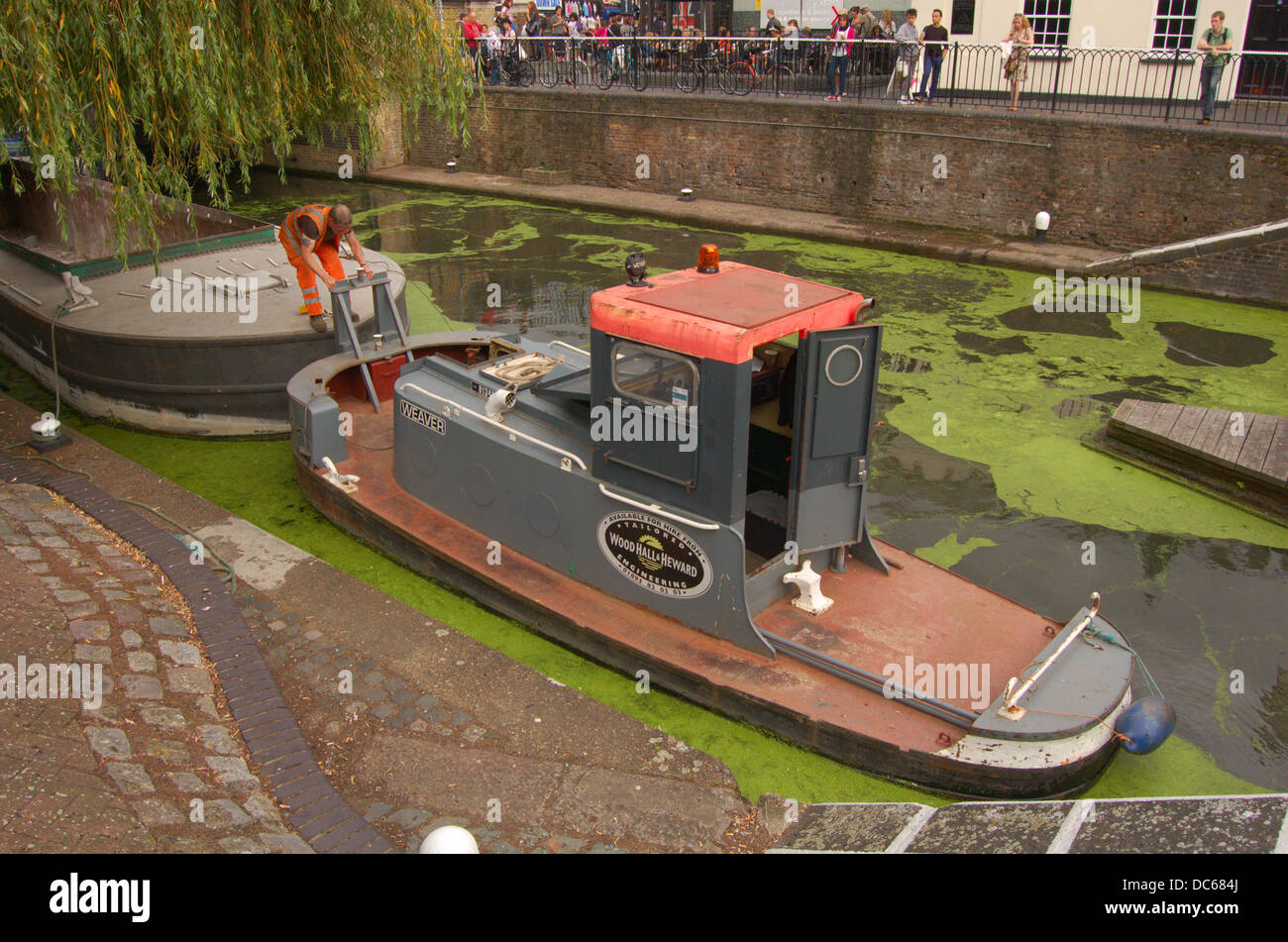 Toxic green algae on the Regents Canal at Camden Lock in London ...
