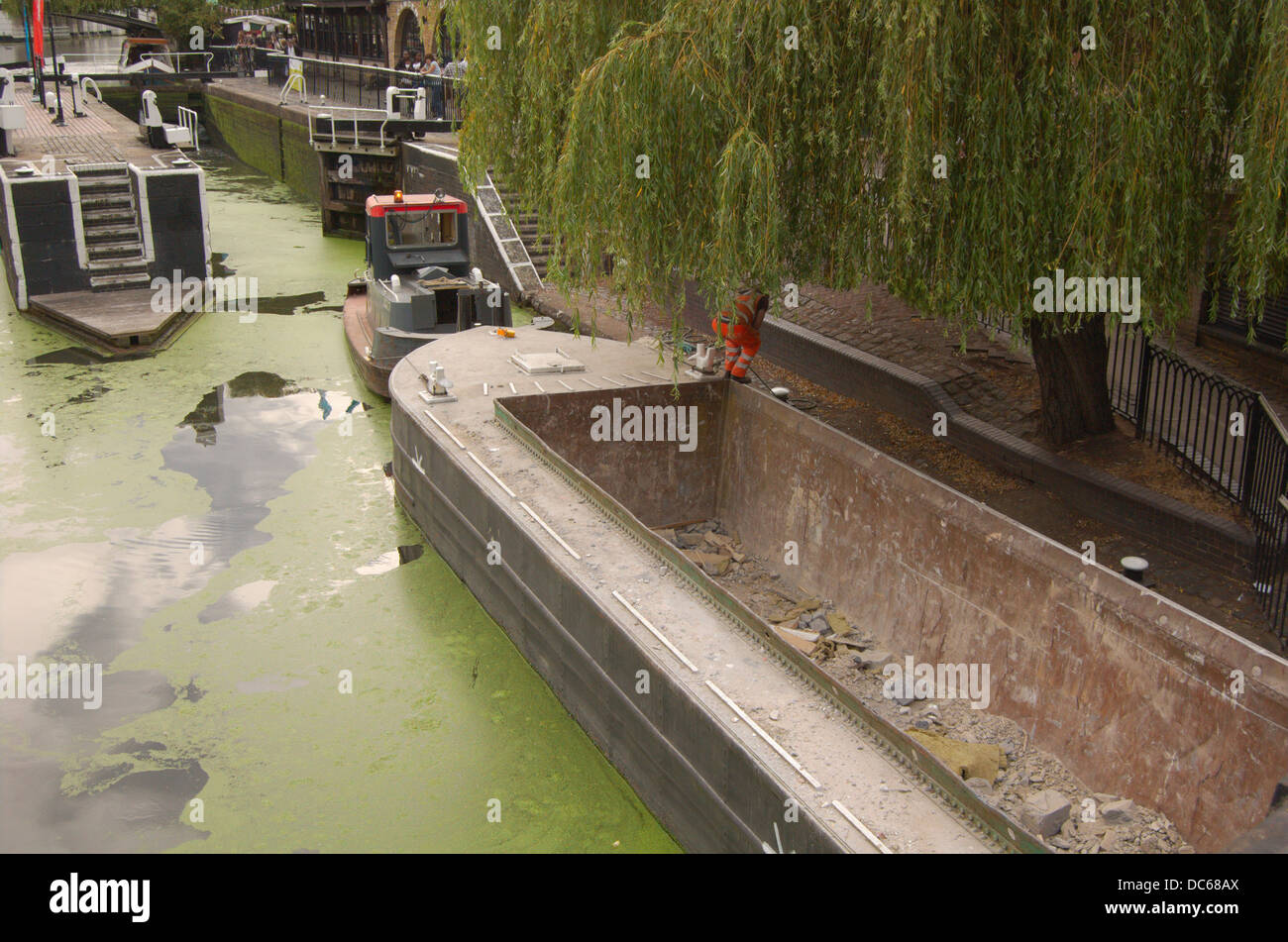 Green Algae Bloom On The Regents Canal High Resolution Stock ...
