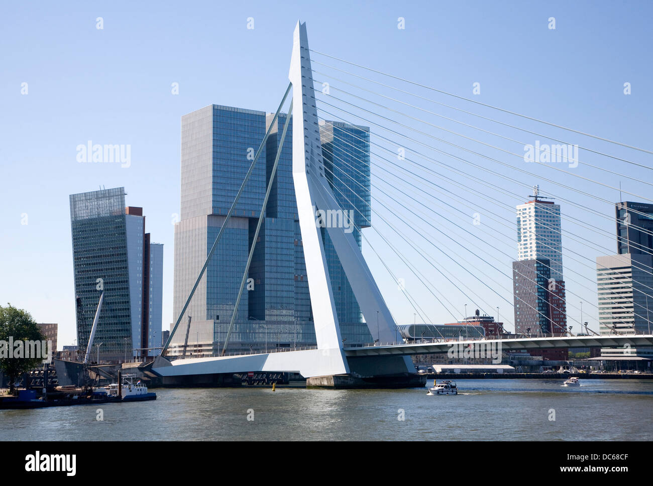 Erasmus bridge and De Rotterdam building from River Maas Rotterdam ...