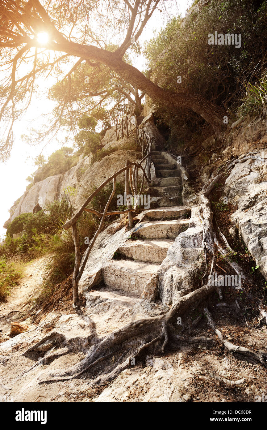 Landscape with stone stairs and tree Stock Photo - Alamy