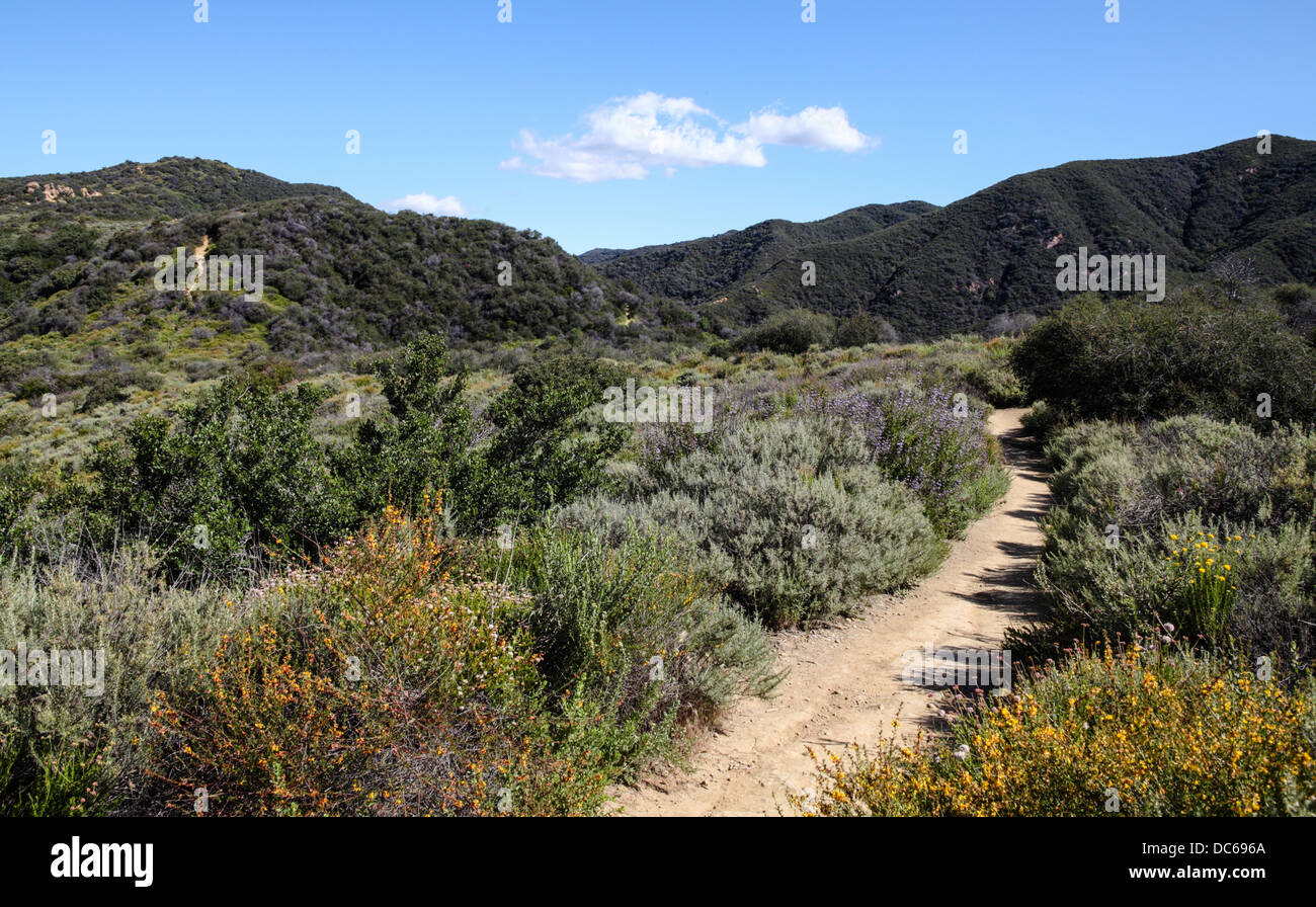 The Temescal Ridge Trail in the Santa Monica Mountains Stock Photo - Alamy