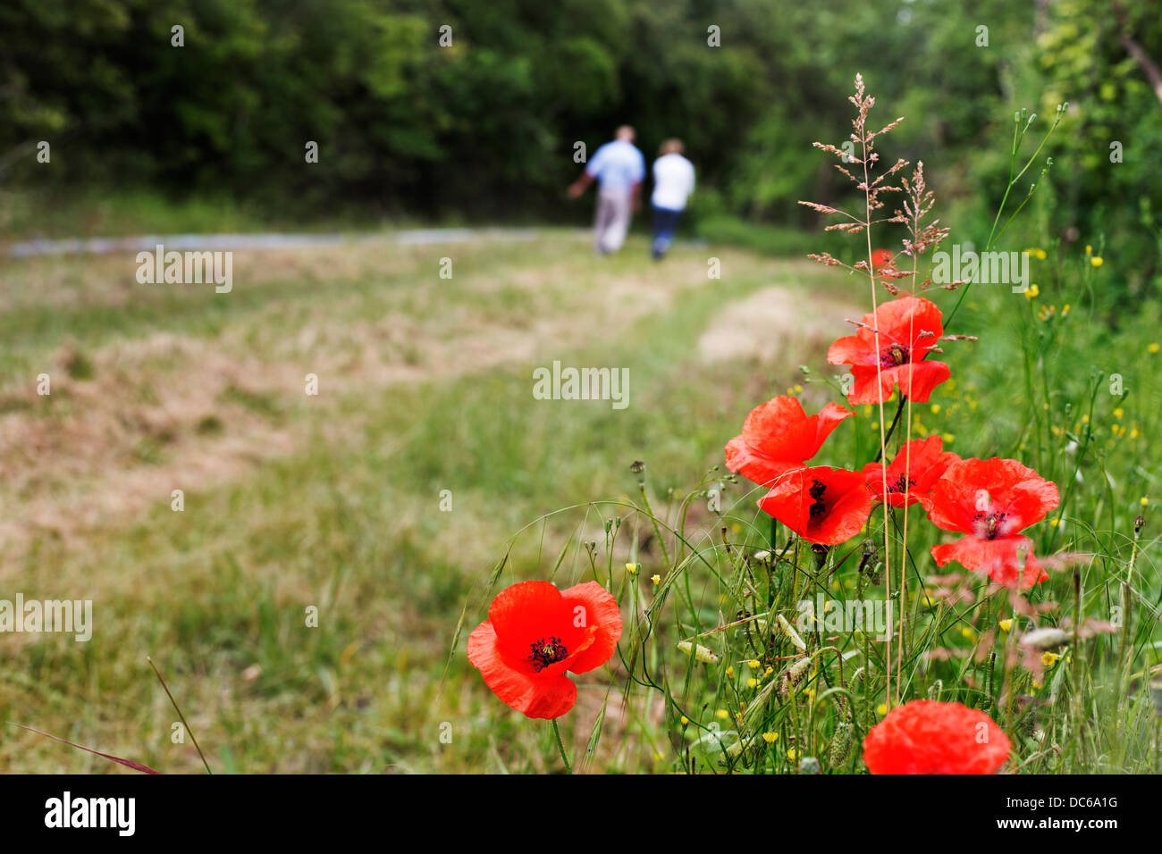 A couple walking in the French countryside Stock Photo - Alamy