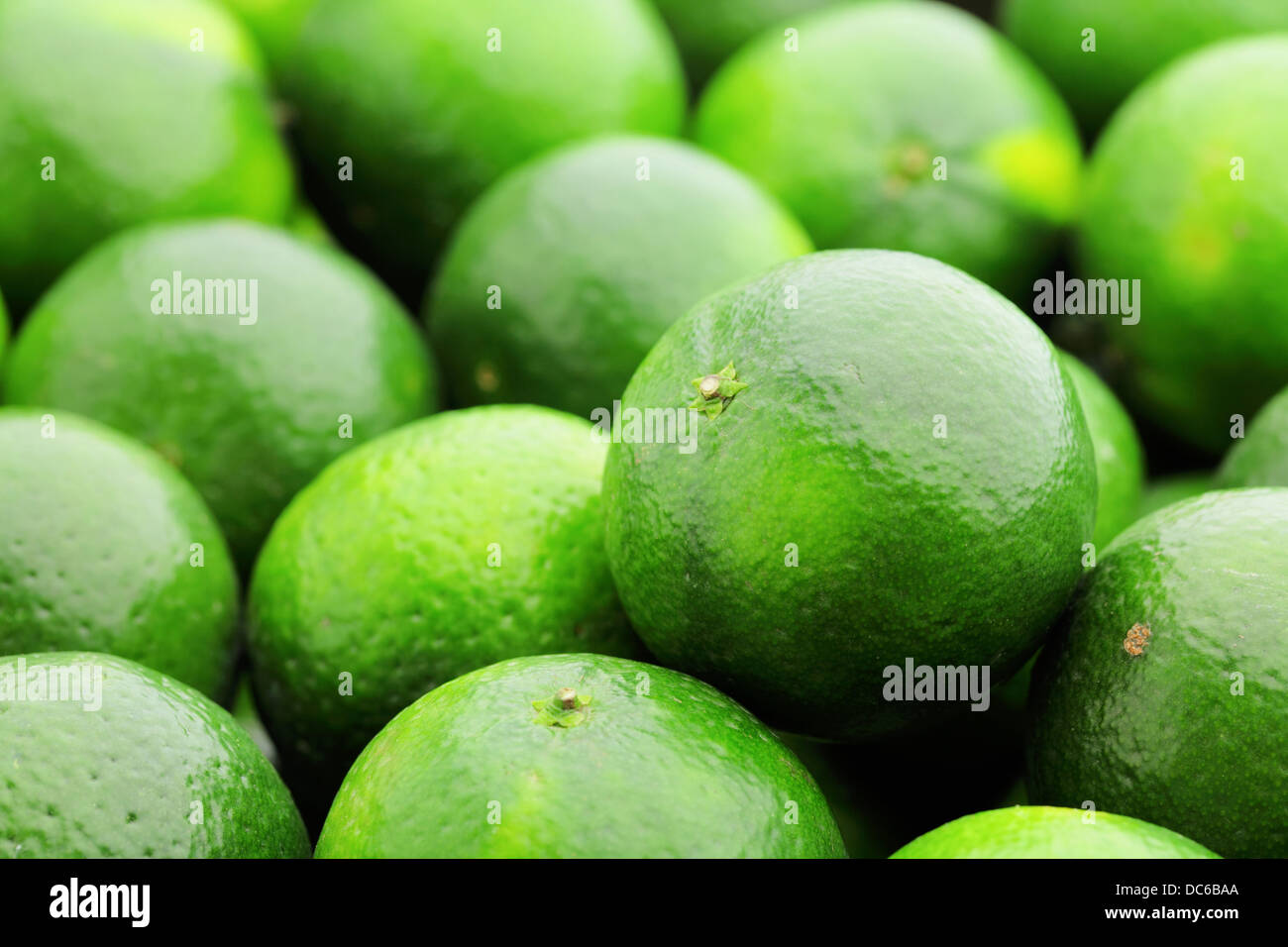 lime citrus fruit Stock Photo - Alamy